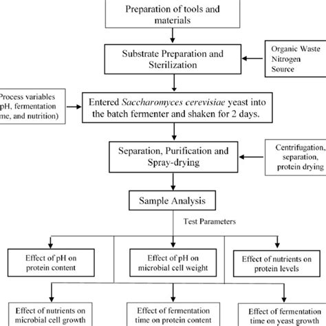 Flowchart Of Research Procedures And Scp Production Scheme Download Scientific Diagram