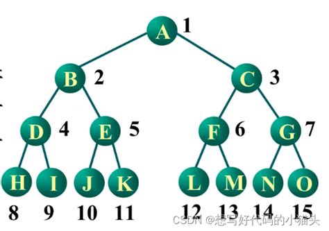 二叉树的基本性质和储存结构 二叉树的性质和存储结构 csdn博客