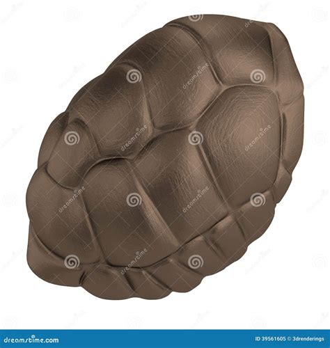 3d Render Of Shell Of Turtle Stock Illustration Illustration Of Shell Model 39561605