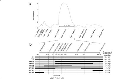 Quantitative Trait Locus Qtl Analysis Of Qbk1 Wd Using Recombinant