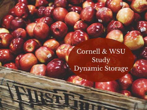 Apple Industry Scientists Investigate Dynamic Storage Technology Pvm