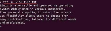 Unix Fmt Command