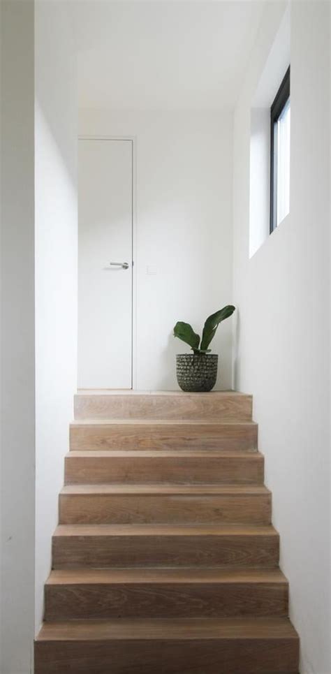 Tatami Floating House R Brasilisnet