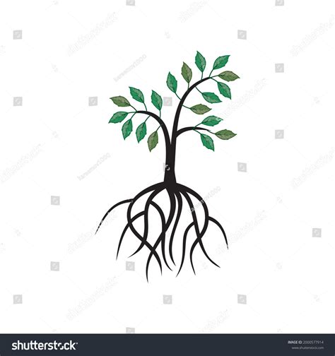 Tree Roots Vector Image Stock Vector Royalty Free 2000577914 Shutterstock