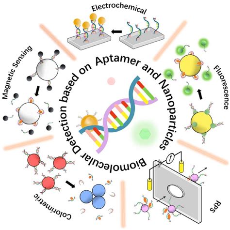 Mdpi Review On Aptamer Aptamer Biosensors Biosensors Mdpi Posted On The Topic Linkedin