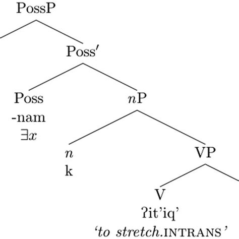 Nam Introduced Above Np Interpreted As Indefinite Possessor Download Scientific Diagram Nam Introduced Above Np Interpreted As Indefinite Possessor Download Scientific Diagram