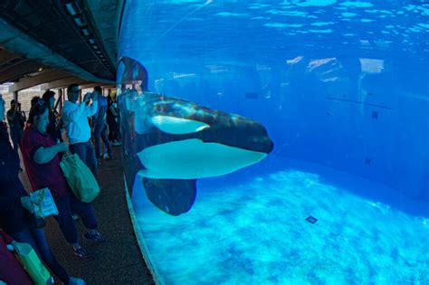 25 Attractions You Shouldnt Miss In San Diego Map Touropia