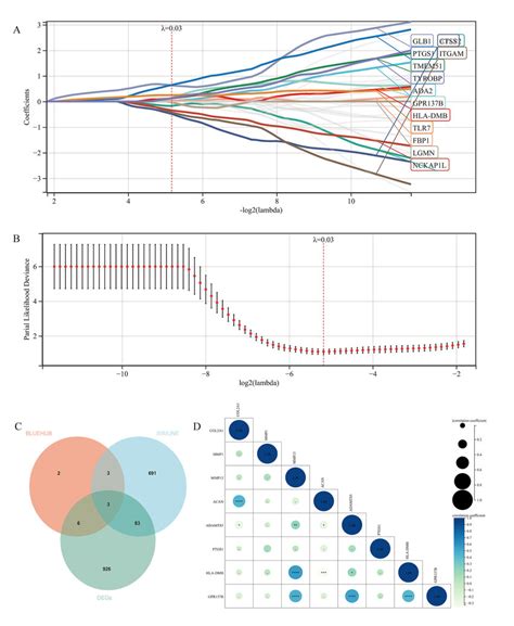 Lasso Cox Regression Analysis Coefficient Distribution Diagram A
