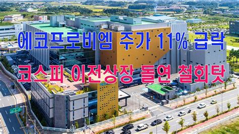 에코프로비엠 주가 11 급락코스피 이전상장 돌연 철회 탓 Youtube