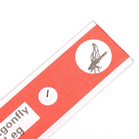 12 Stuks Voorbereid Microscope Slides Set Specimen Vicedeal