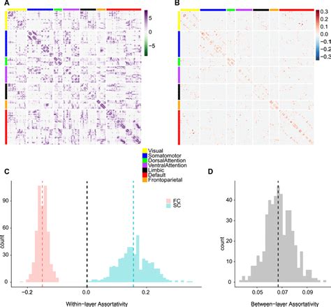 A Averaged Sc Across All Subjects With Edges Representing Log