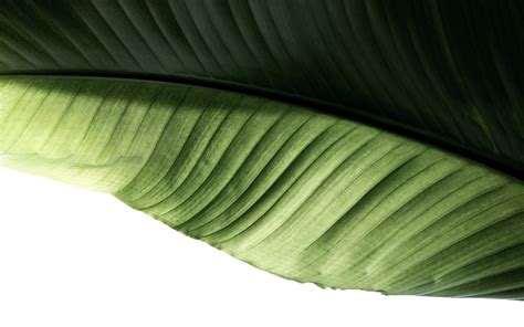 read replicas and spring data part 3 configuring two entity managers