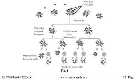 Figure 1 From A Review On Non Traditional Optimization Algorithm For