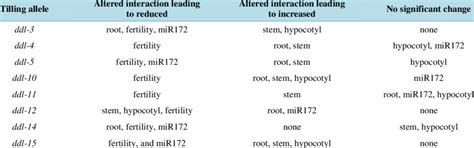 Summary Of Phenotypic And Molecular Analyses Download Table