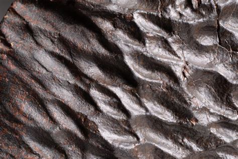 Exceptional Oriented Meteorite Bada