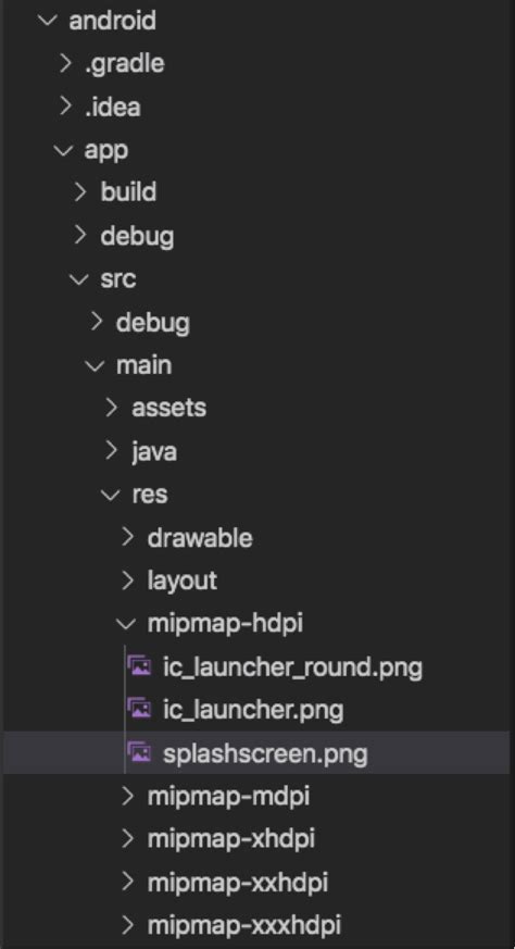 React Setup Themes Coder