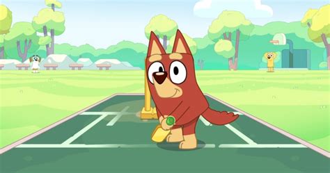 What Kind Of Dog Is Rusty From Bluey Answered The Mary Sue