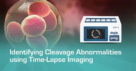 Identifying Cleavage Abnormalities Using Time Lapse Imaging Esco Medical