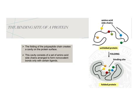 Module 1 Lesson 2 Of 3 1 2 Pdf