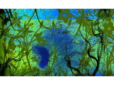 Introduction To Management Information Systems Mis A Survival Guide