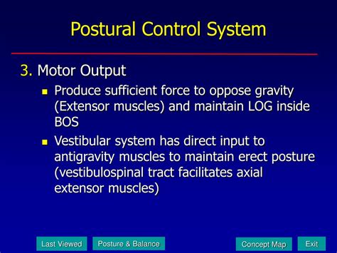 Ppt Postural Control And Balance Powerpoint Presentation Free