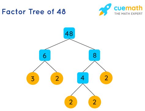 Factor Tree Method Examples FAQs