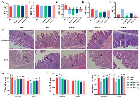 Effect Of Dietary Gsh Supplementation On Growth Performance And Jejunal Download Scientific