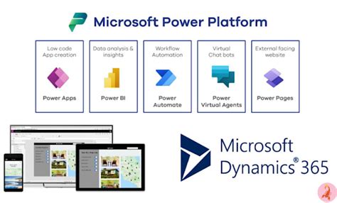 Do Expert Dynamics 365 Crm Customizations Forms Workflows And