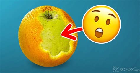 Гар доорх зүйлсийг ашиглан хэрхэн сонирхолтой илбэ үзүүлэх вэ