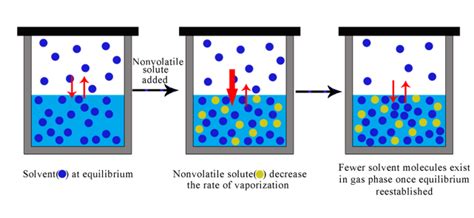 Answered Nonyolatile Solute Added Fewer Solvent… Bartleby