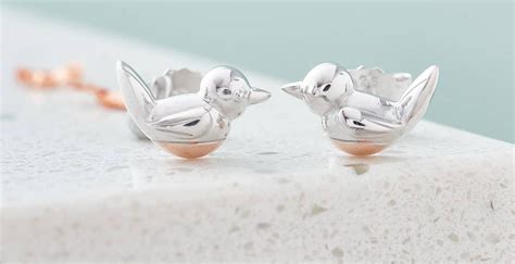 The Symbolism And Meaning Of Robins Inscripture