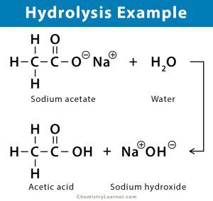Hydrolysis Reaction Definition Equation And Applications
