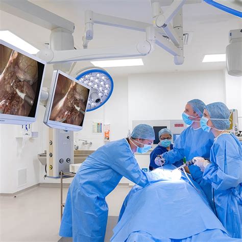 Endoscopic Imaging Workflows Sony Pro