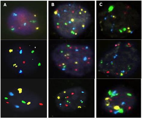 Technical Comparison Of Abbotts Urovysion® And Biocares Cytofish