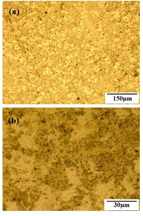 Optical Micrographs Of Sample No 5 With Different Magnifications