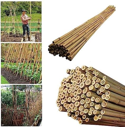 Bamboo Canes 6ft Heavy Duty Professional Garden Stakes For Plant