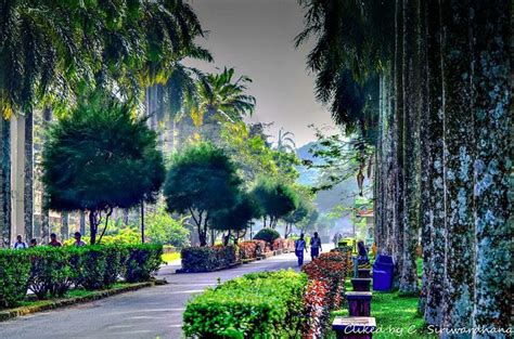 University Of Sri Jayewardenepura Sri Lanka