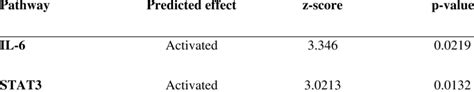Signaling Pathways Affected By Exogenous PA After APAP Overdose Download Scientific Diagram