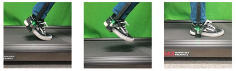 Symmetry Free Full Text Gait Phase Classification Of Lower Limb Exoskeleton Based On A