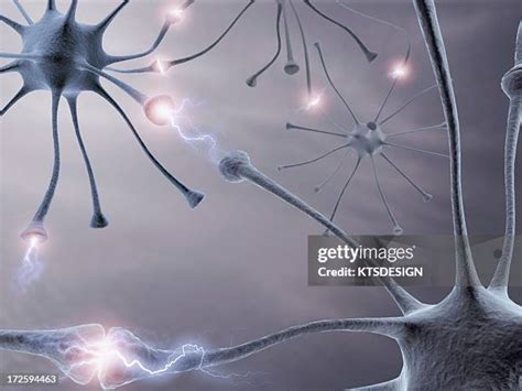 Neuron Firing Photos And Premium High Res Pictures Getty Images