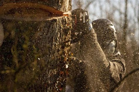 Tree Surgeons Cambridge UK Map Guide