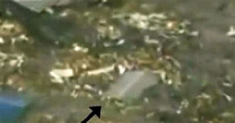 쓰나미 영상 괴생명체 폐허더미 질주하는 흰 물체 포착