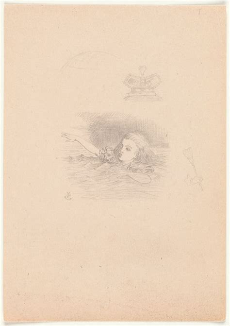 Drawing Of Alice Swimming Adventures In Wonderland American Literature New York Public Library