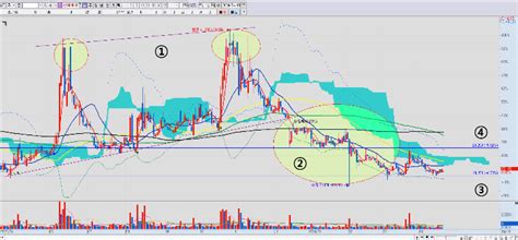 현대바이오 주가 전망 테마 분석 뎅기열 관련주