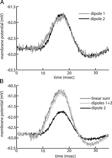 A Average Compound Excitatory Postsynaptic Potentials Epsps Elicited Download Scientific