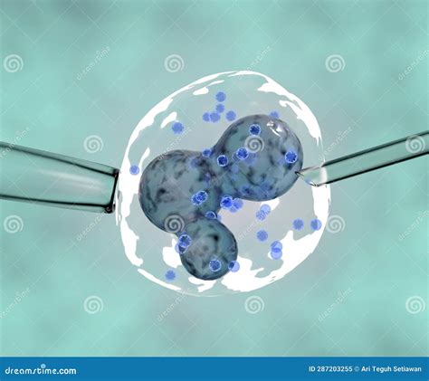 Cell Engineering And Cell Reprogramming Conceptual Illustration Stock