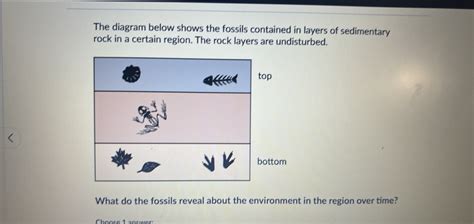 Solved The Diagram Below Shows The Fossils Contained In Layers Of Sedimentary Rock In A Certain