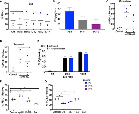Frontiers Tumor Specific T Cell Mediated Upregulation Of Pd L1 In Myelodysplastic Syndrome