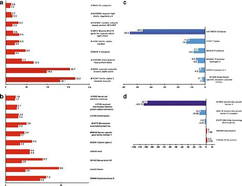 The Microarray Based Comparative Gene Expression Profiling Of