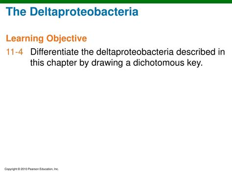 Ppt Chapter 11 Powerpoint Presentation Free Download Id5830721